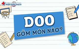 Khối D09 là gì? Khối D09 gồm những ngành, nghề nào triển vọng?