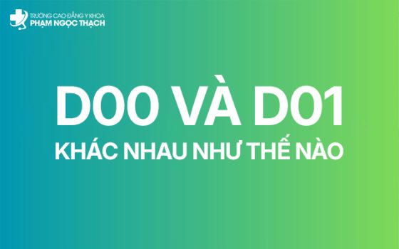 Khối D09 là gì? Khối D09 gồm những ngành, nghề nào triển vọng?